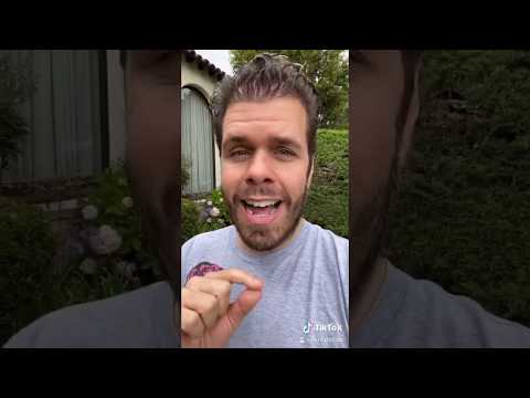 We Should Stop Using The Word "Slave" - And Here Is Why! | Perez Hilton