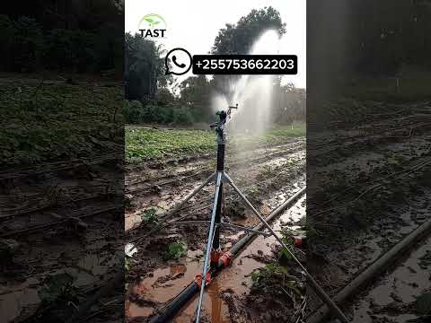 automatic watering system for plants _yuzuak atom 35 rain gun sprinkler irrigation#agro #agriculture