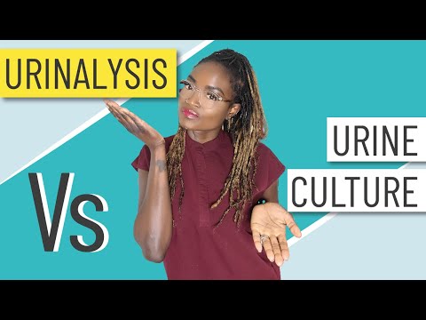 UTIs: URINALYSIS vs URINE CULTURE | Dr. Milhouse
