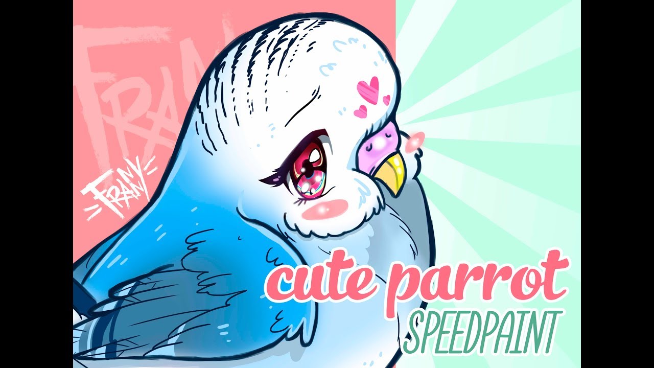 Cute parrot [speedpaint]