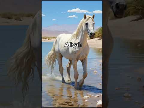 Arabian horses names