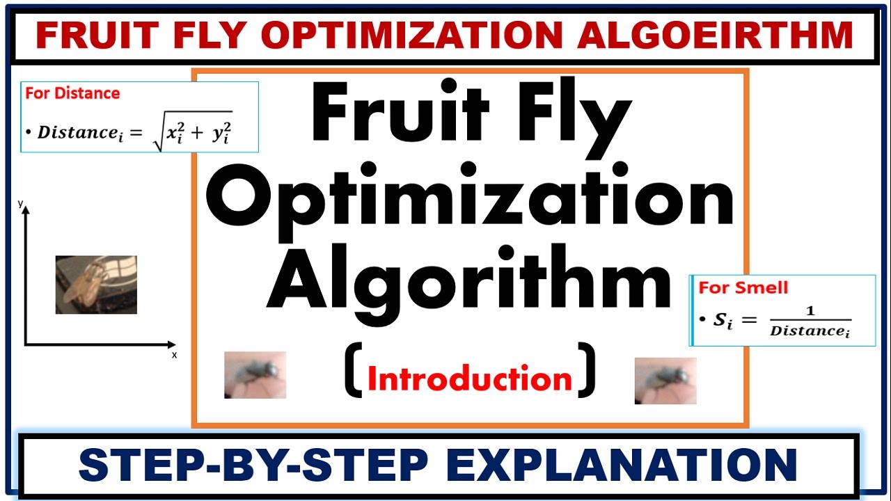 Learn Fruit Fly Optimization Algorithm |Introduction| ~xRay Pixy