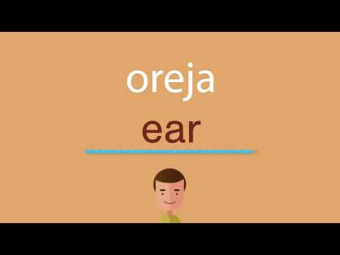 Cómo se dice oreja en inglés