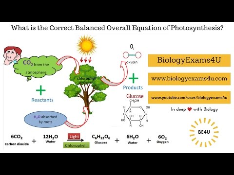 How we get the Correct Balanced Overall Equation of Photosynthesis?