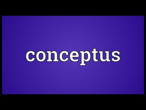 Conceptus Meaning