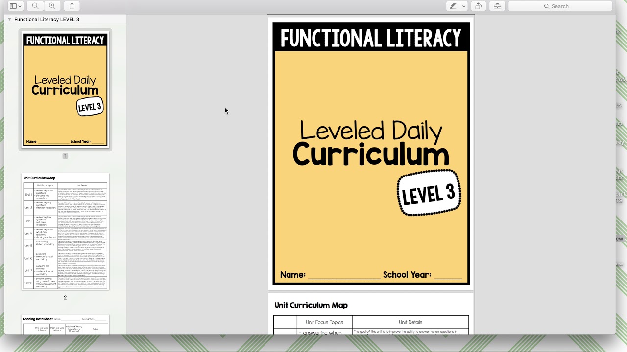 Functional Literacy Level 3 Product Preview