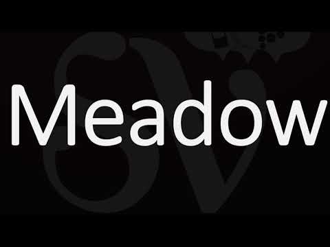 How to Pronounce Meadow? (CORRECTLY) Meaning & Pronunciation