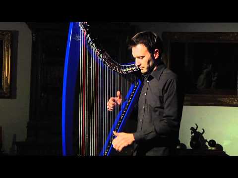 Camac DHC Blue Light 32 string Electro Harp in Blue | Reverb