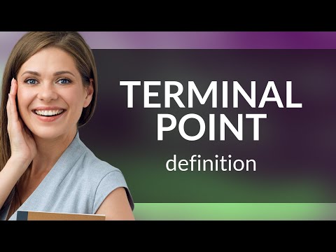 Terminal point • definition of TERMINAL POINT