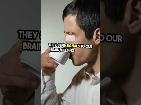 Unlocking the Secrets of Taste Buds! #knowledge #facts #unbelievable #unknownfacts