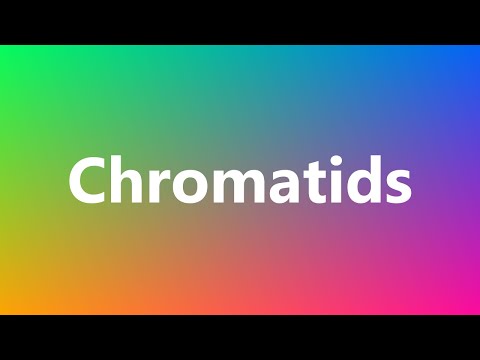 Chromatids - Medical Definition