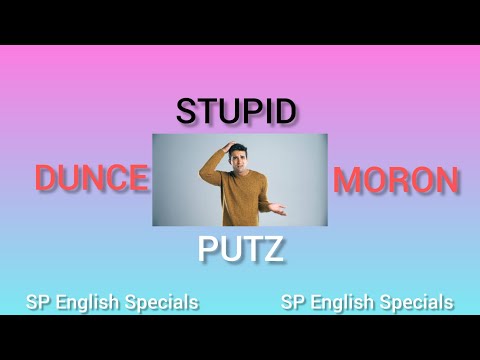 Several Words that mean Stupid/a Stupid Person. SP English Specials .
