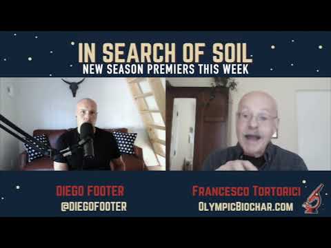 The Benefits of Adding Biochar to Soil | In Search of Soil