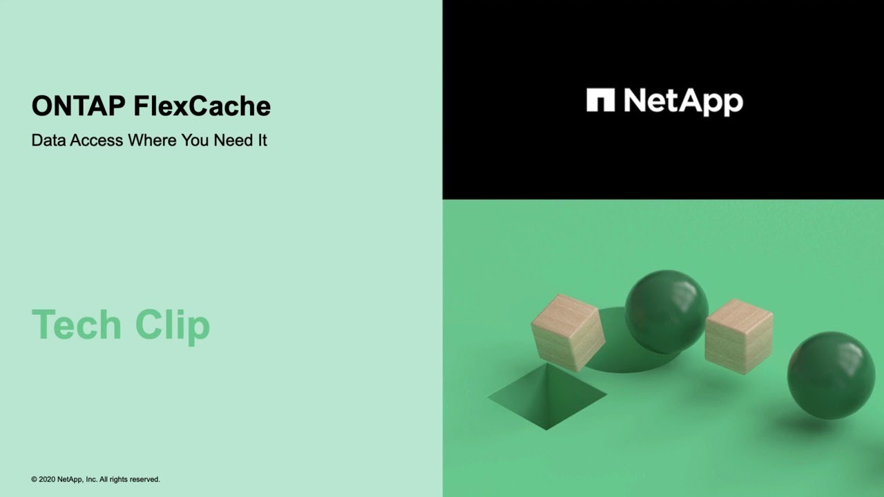 ONTAP FlexCache Performance - Tech Clip