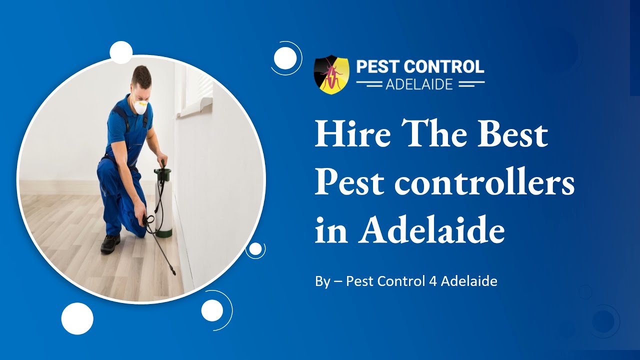 Hire The Best Pest Controllers in Adelaide | All Types of Pest Removal Services