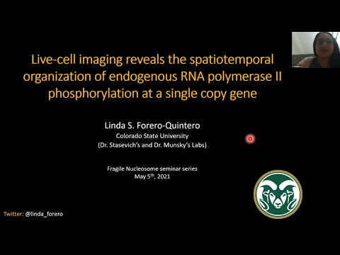 Linda Forero-Quintero: "Live-cell imaging reveals the spatiotemporal organization of endogenous..."