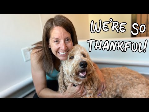 Day In The Life Of Dog Breeder - Nala Received Alot Of Love