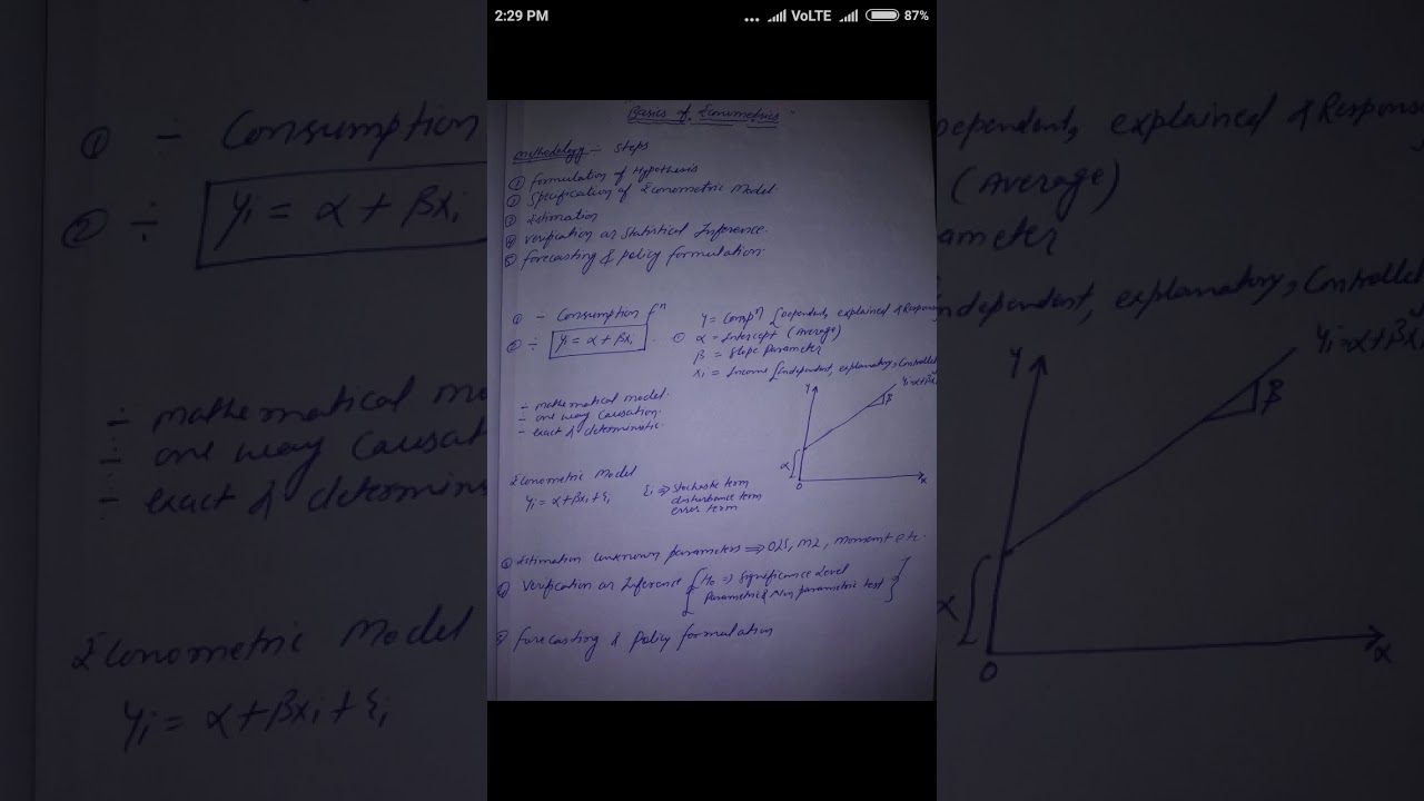 #Basics of Econometrics# Methodological steps# L-1