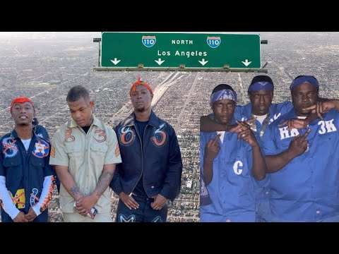 The Story Of South Central Deadliest Crip & Blood Gangs