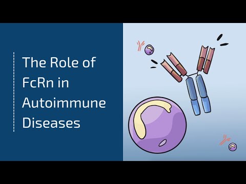 The Role of FcRn In More Than 100 Autoimmune Diseases