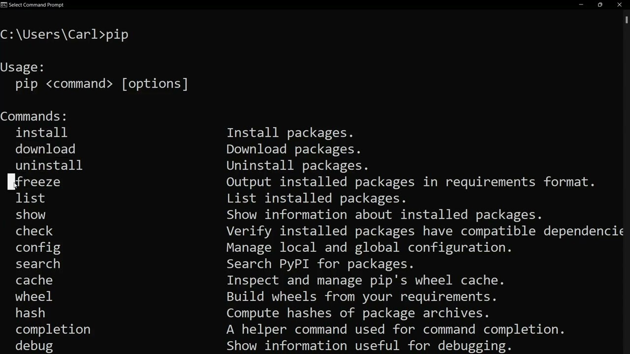 How do I get a list of locally installed Python modules?
