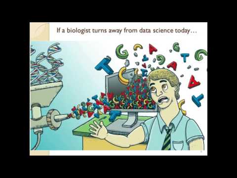 Unlocking Data's Secrets: Importance of Organization