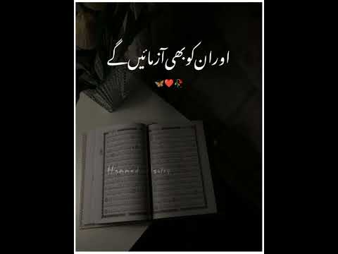 Emotional Quran ayat whatsapp status|Quran translation in Urdu|Quran Tarjuma|@IQRAALQURANKARIM