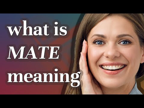 Mate | meaning of Mate