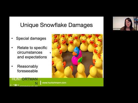 The Consequences of Consequential Damages: Conversations on Construction, Episode 3