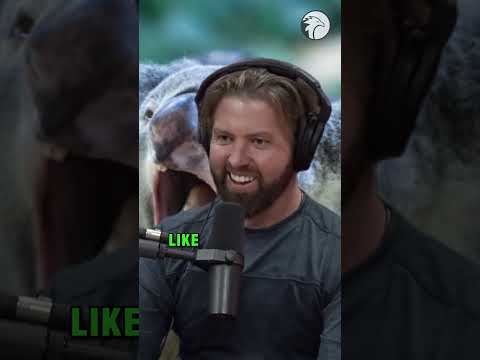 CUTE but RUTHLESS Animals | Koalas, Sea Otters, Pandas #joeroganexperience