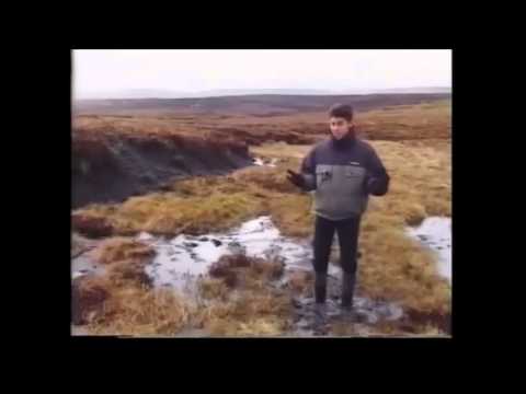 rivers and coasts