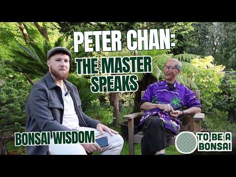 Inside the Mind of a Bonsai Master | Peter Chan Interview