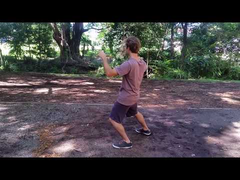 Tai chi chuan, short form, first section, from behind – Repulse Monkey