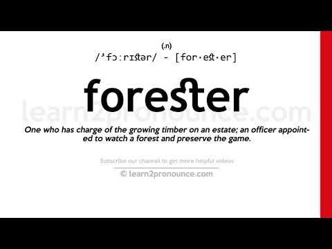 Pronunciation of Forester | Definition of Forester