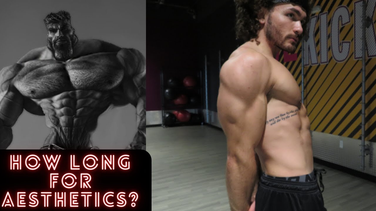 HOW LONG IT TAKES TO BUILD AN AESTHETIC PHYSIQUE ( AND WHAT MUSCLES TO TRAIN)