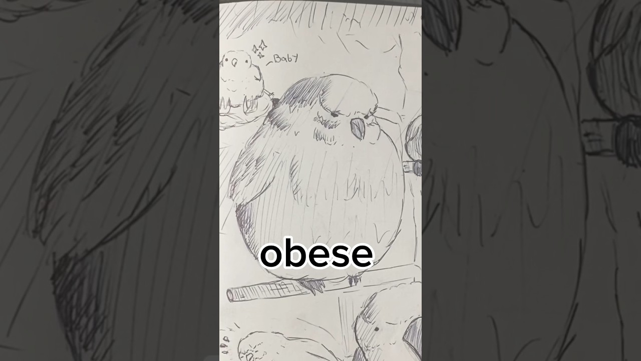 SCHOOL SKETCHBOOK TOUR😭💀📚 #drawing #art #artist #school #sketchbook #sketch #arttips