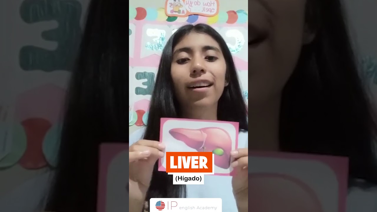 ÓRGANOS DEL CUERPO EN INGLÉS