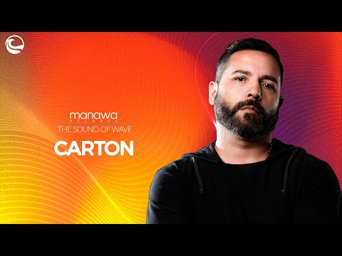 The Sound Of Wave #4 - Carton