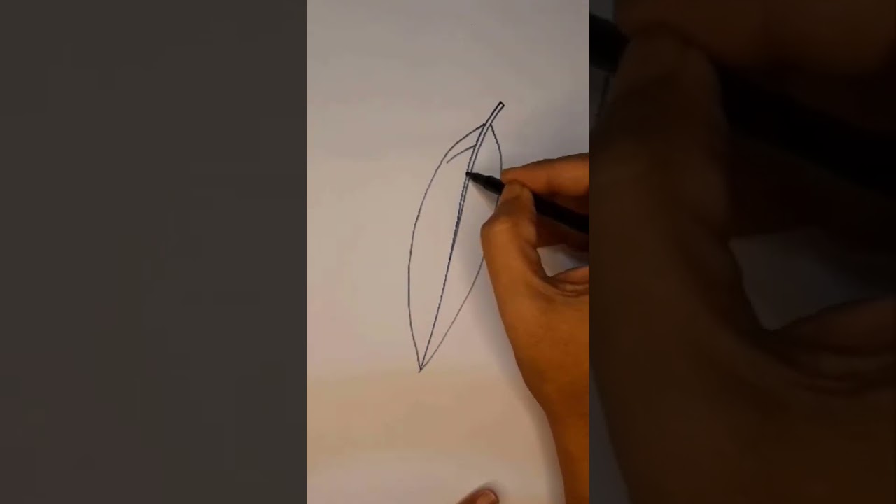 How to draw easy mango leaf | 🥰😍 mango leaf drawing #shortsfeed #shortviral #shorts#youtubeshorts
