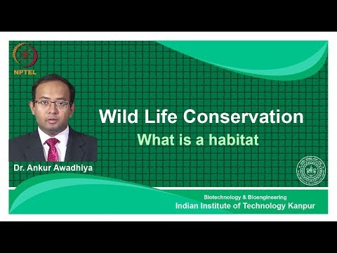 noc18-bt26-Lecture 11-What is habitat?