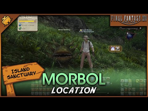 Steam Community :: Video :: Morbol Seedling Location Island Sanctuary ...