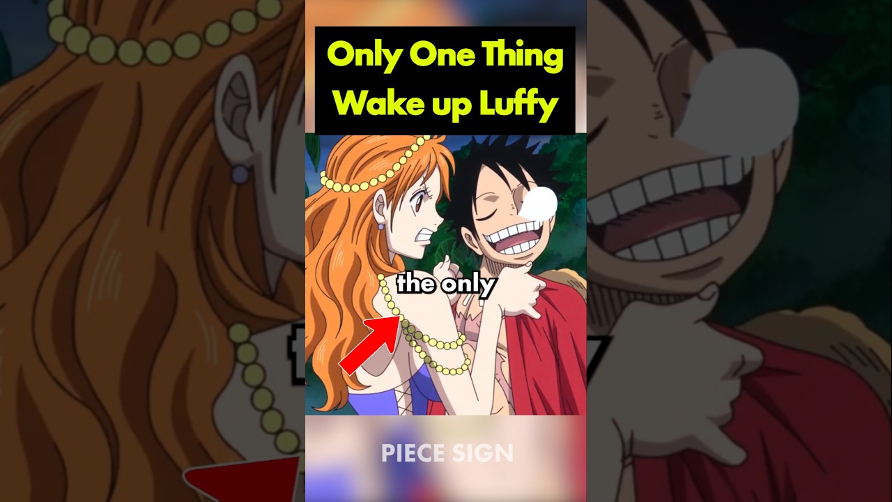 This is only thing that can wake Luffy up