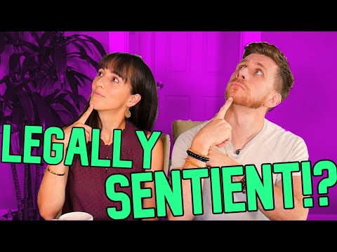 MAKING SENTIENCE THE LAW? | Washington Post Response