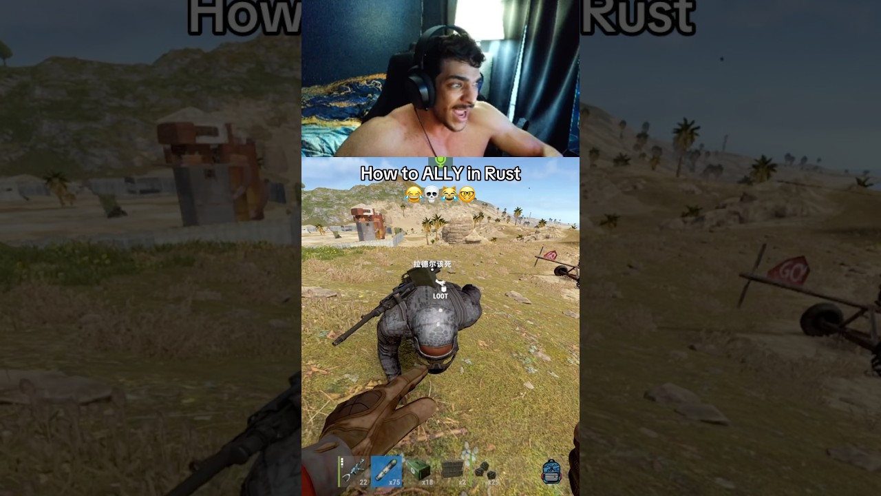 How to make allies in rust