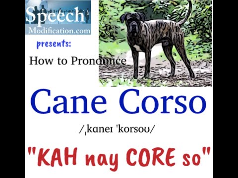 How to Pronounce Cane Corso