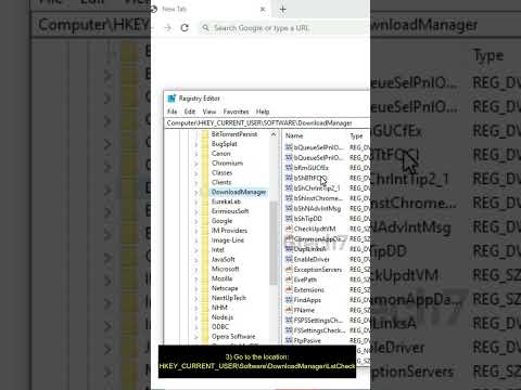 Disable Idm Automatic Update Check For A Faster Downloading Experience