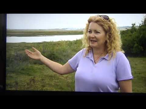 Yvette Austin reports for BBC South East news on opposition to the ...