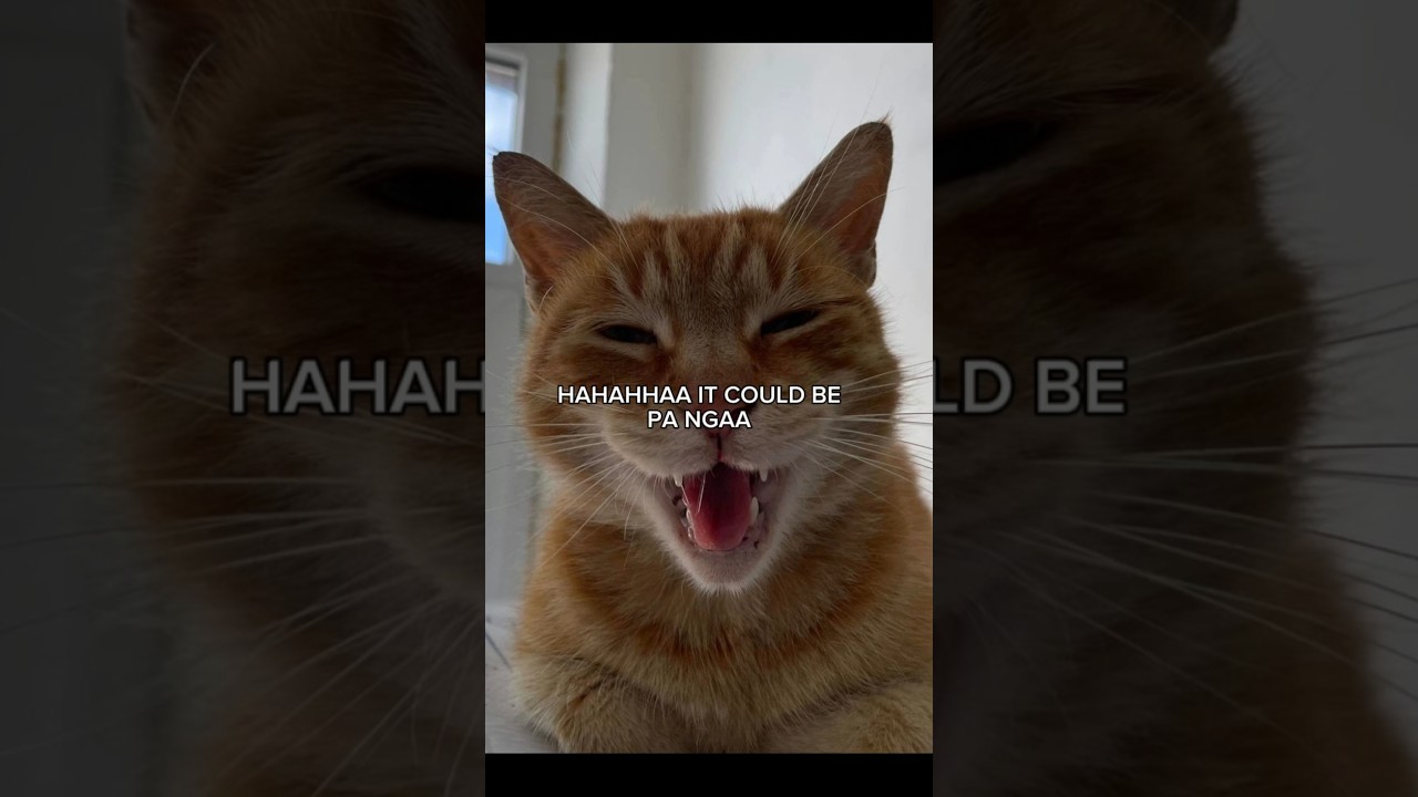 part 312 #HelloTalkFriend #languagepartner #internationalfriends #onlinefriends #viral