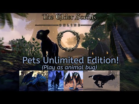 The Beauty of ESO through the eyes of animals! (Play as pets bug ...