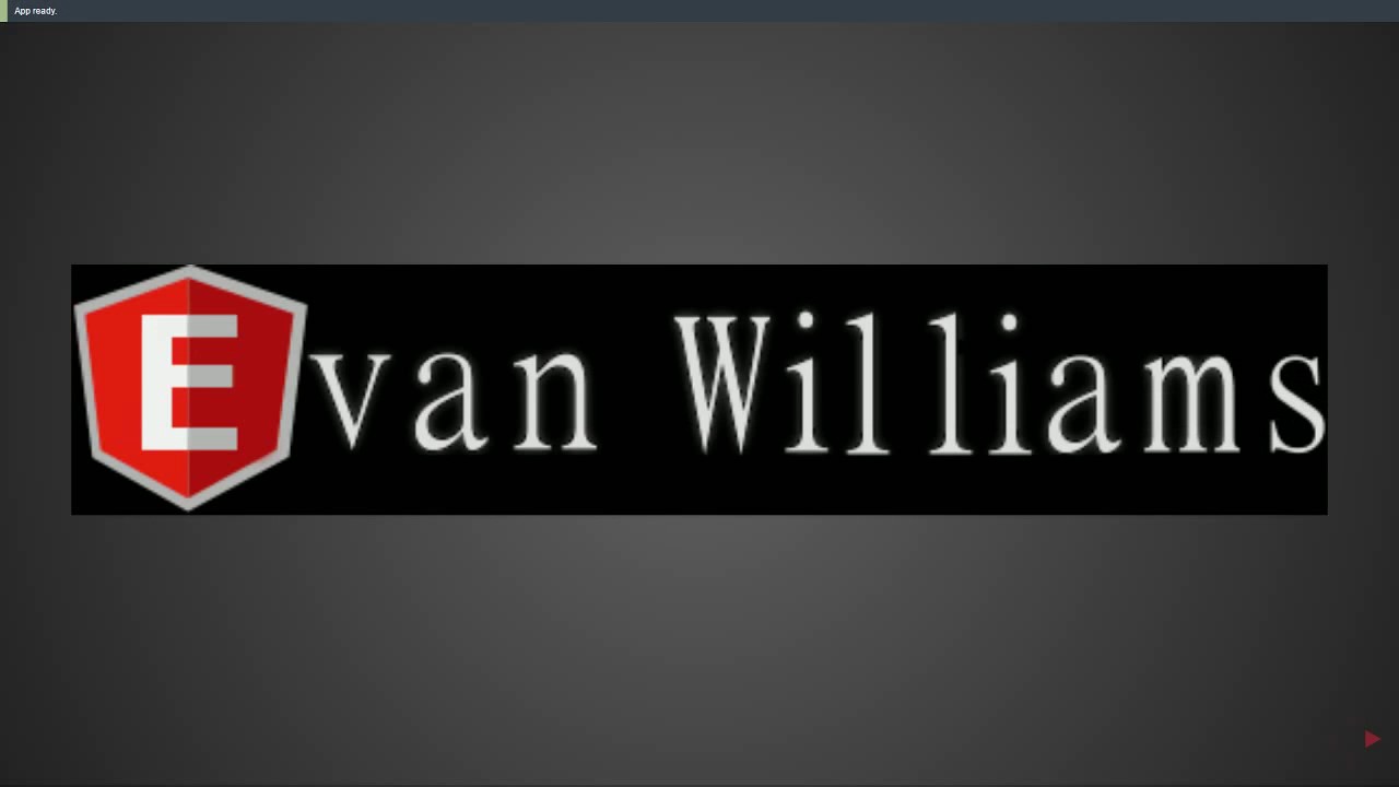 Installing and using Webpack Bundle Analyzer